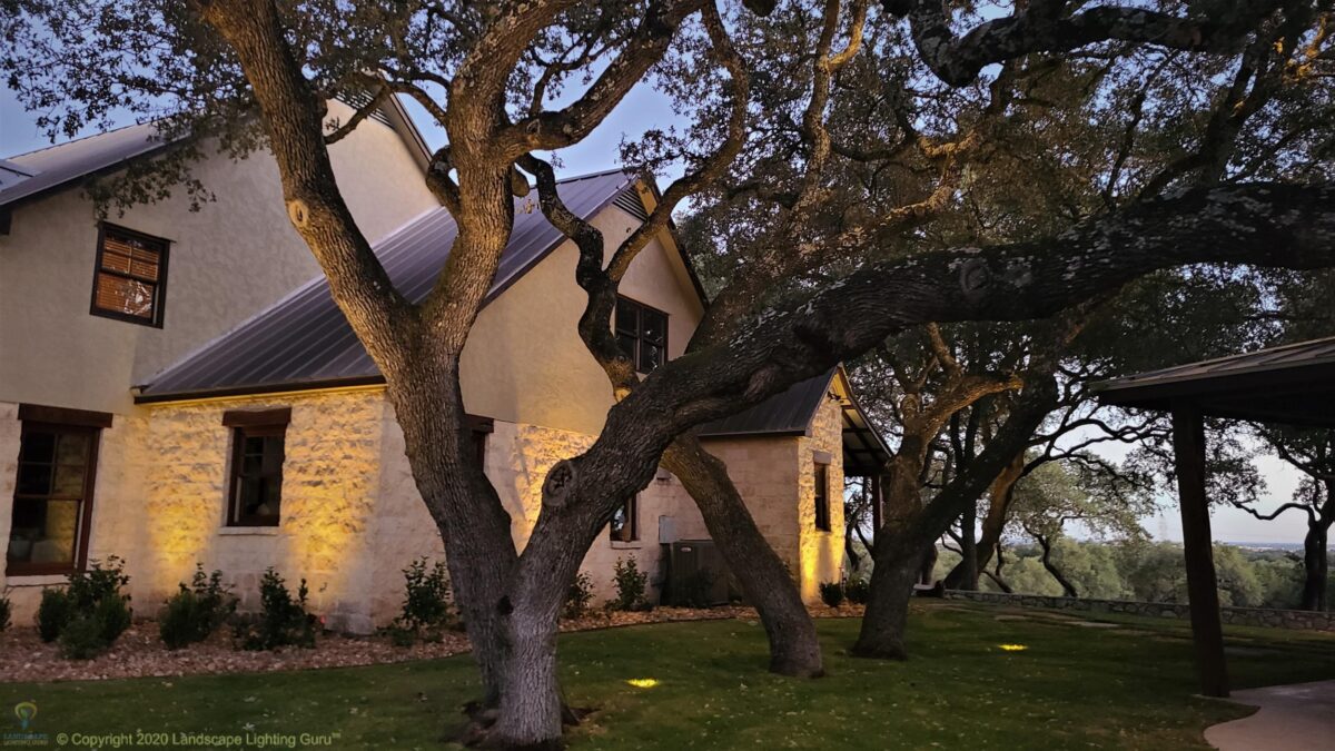 Up Lights – Landscape Lighting Guru
